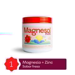 MAGNESOL | falabella.com