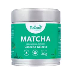 MOLAND | falabella.com